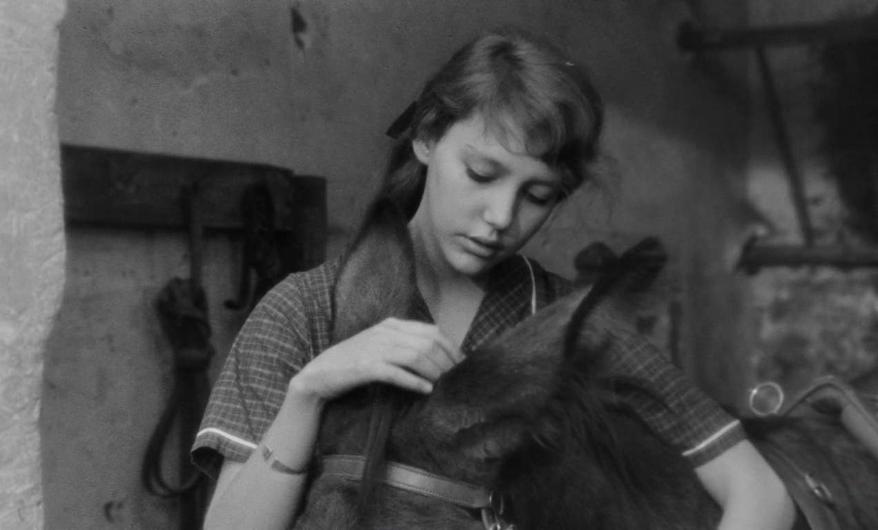 Au hasard Balthazar - THE CINEMATOGRAPH