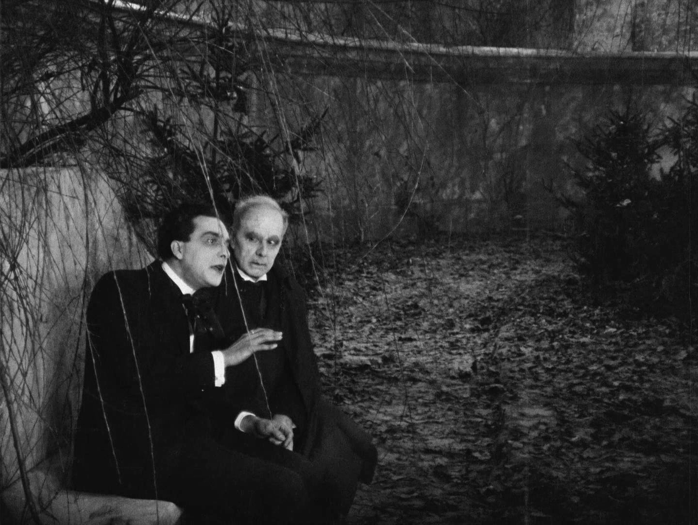 The Cabinet of Dr. Caligari - THE CINEMATOGRAPH