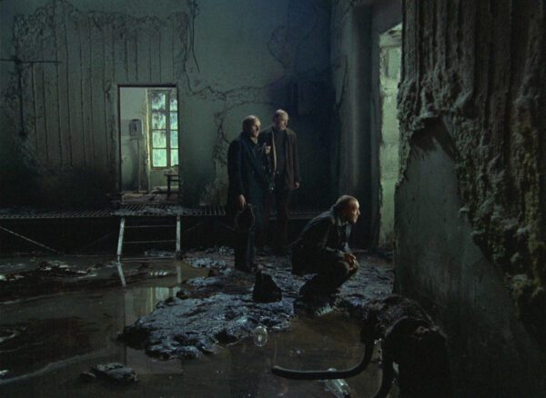 Stalker - THE CINEMATOGRAPH