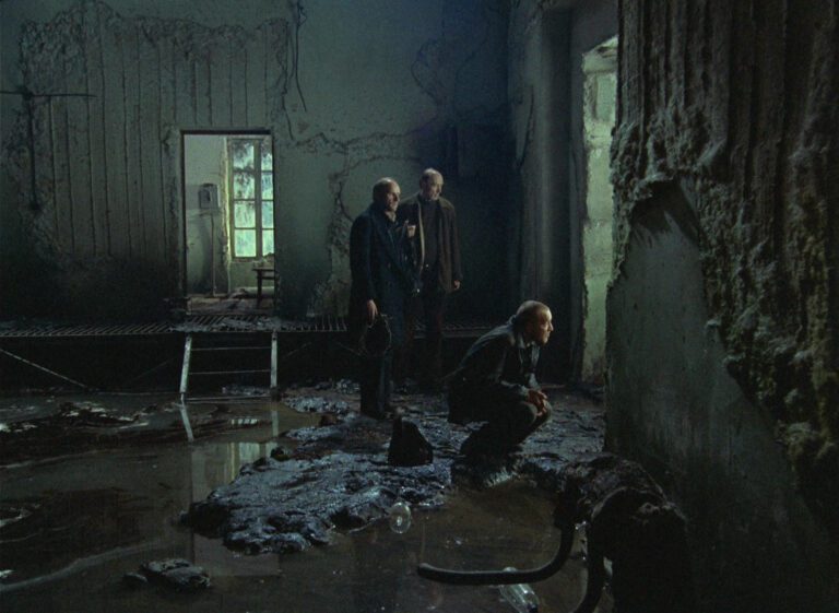 Stalker - THE CINEMATOGRAPH