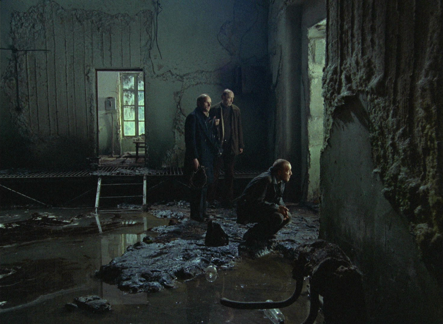 Stalker - THE CINEMATOGRAPH