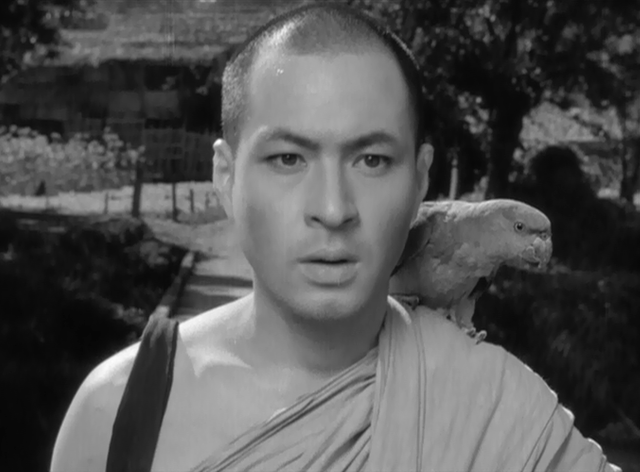 Actor Index - THE CINEMATOGRAPH