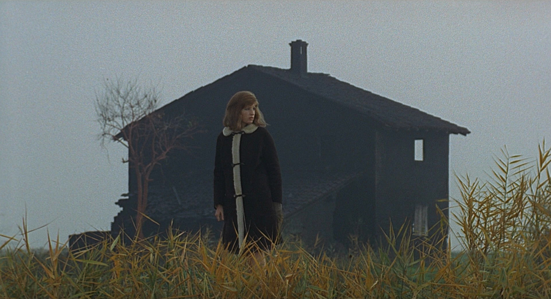 Red Desert - THE CINEMATOGRAPH