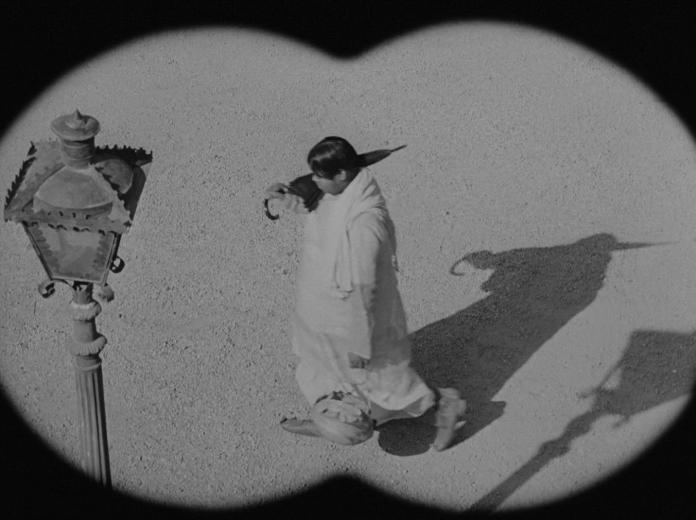 Charulata - THE CINEMATOGRAPH