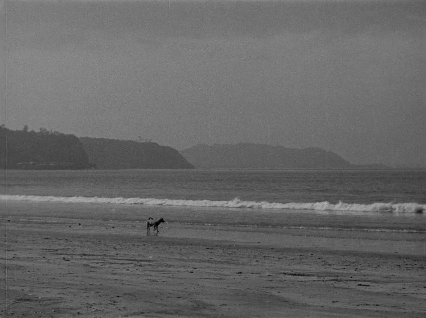 Early Summer - THE CINEMATOGRAPH