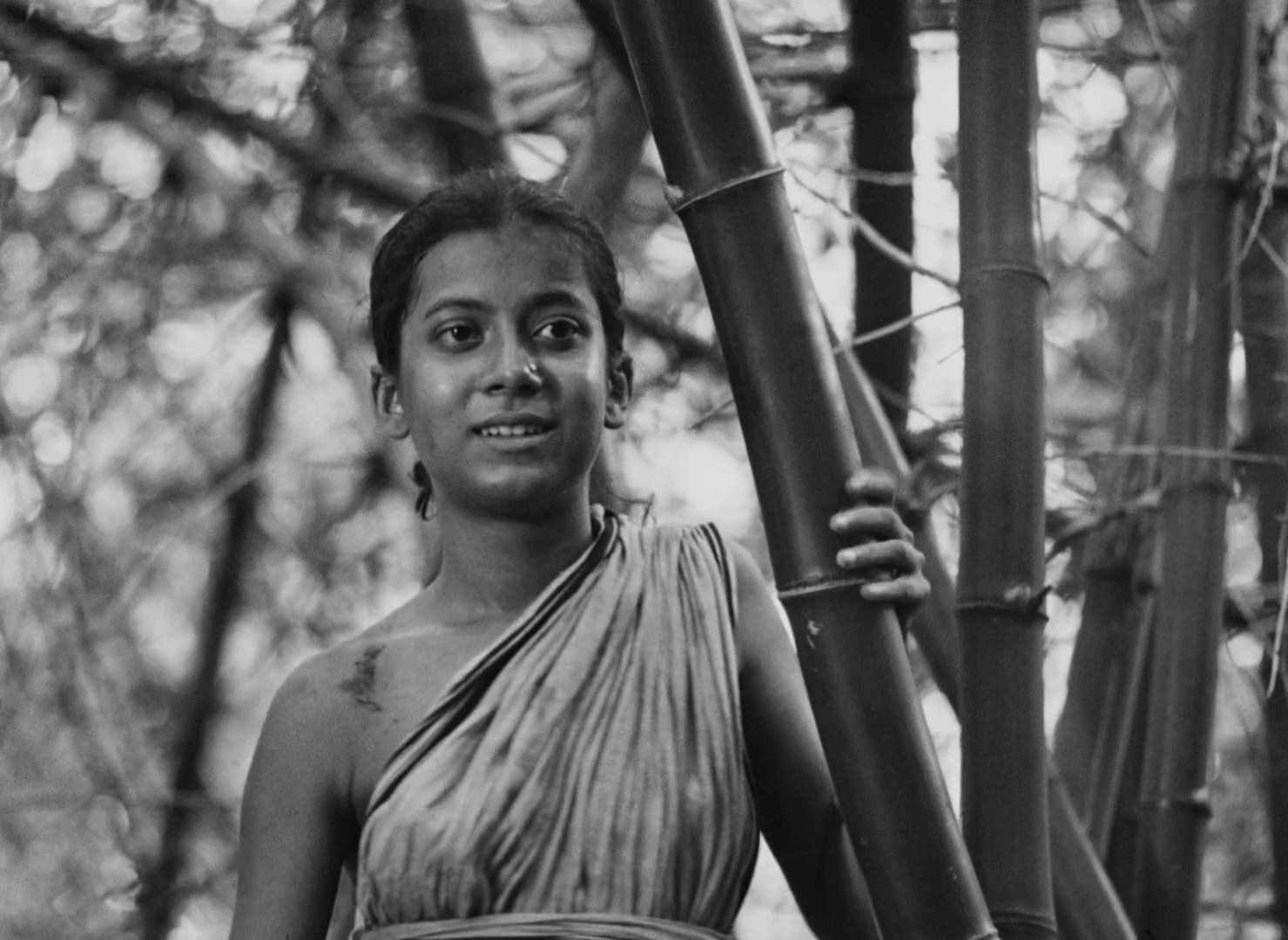 Pather Panchali - THE CINEMATOGRAPH