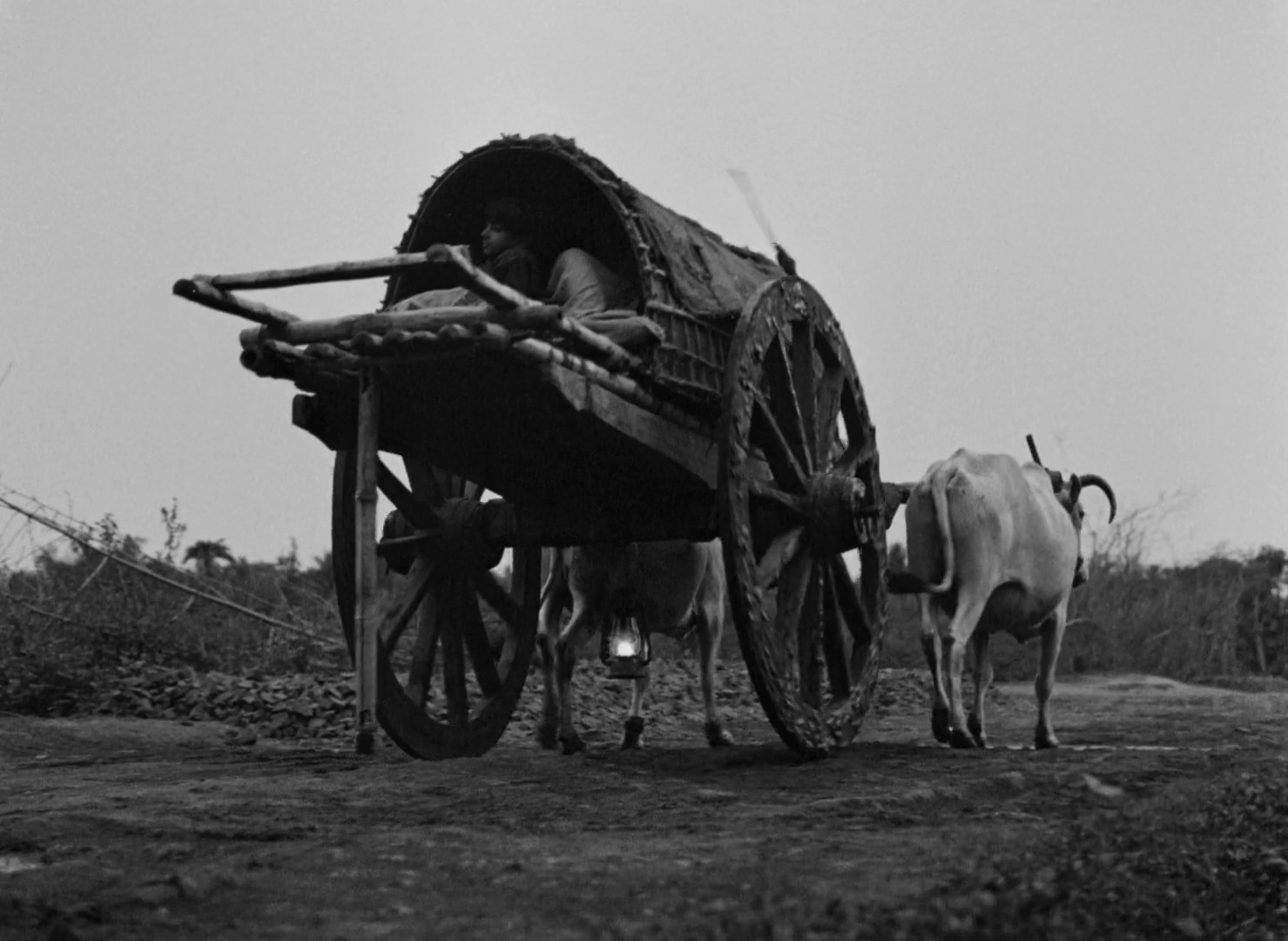 Pather Panchali - THE CINEMATOGRAPH