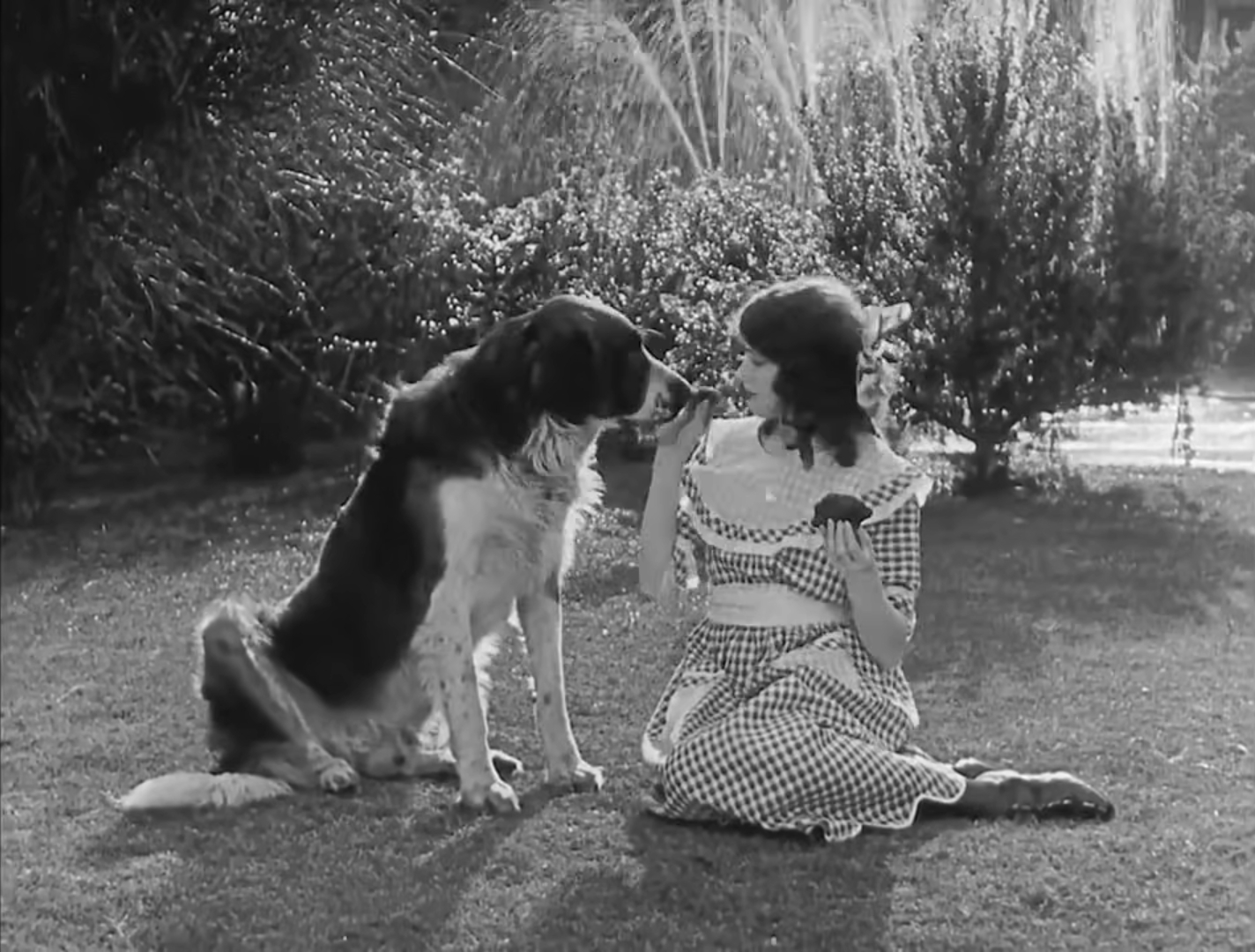 Sherlock Jr. - THE CINEMATOGRAPH