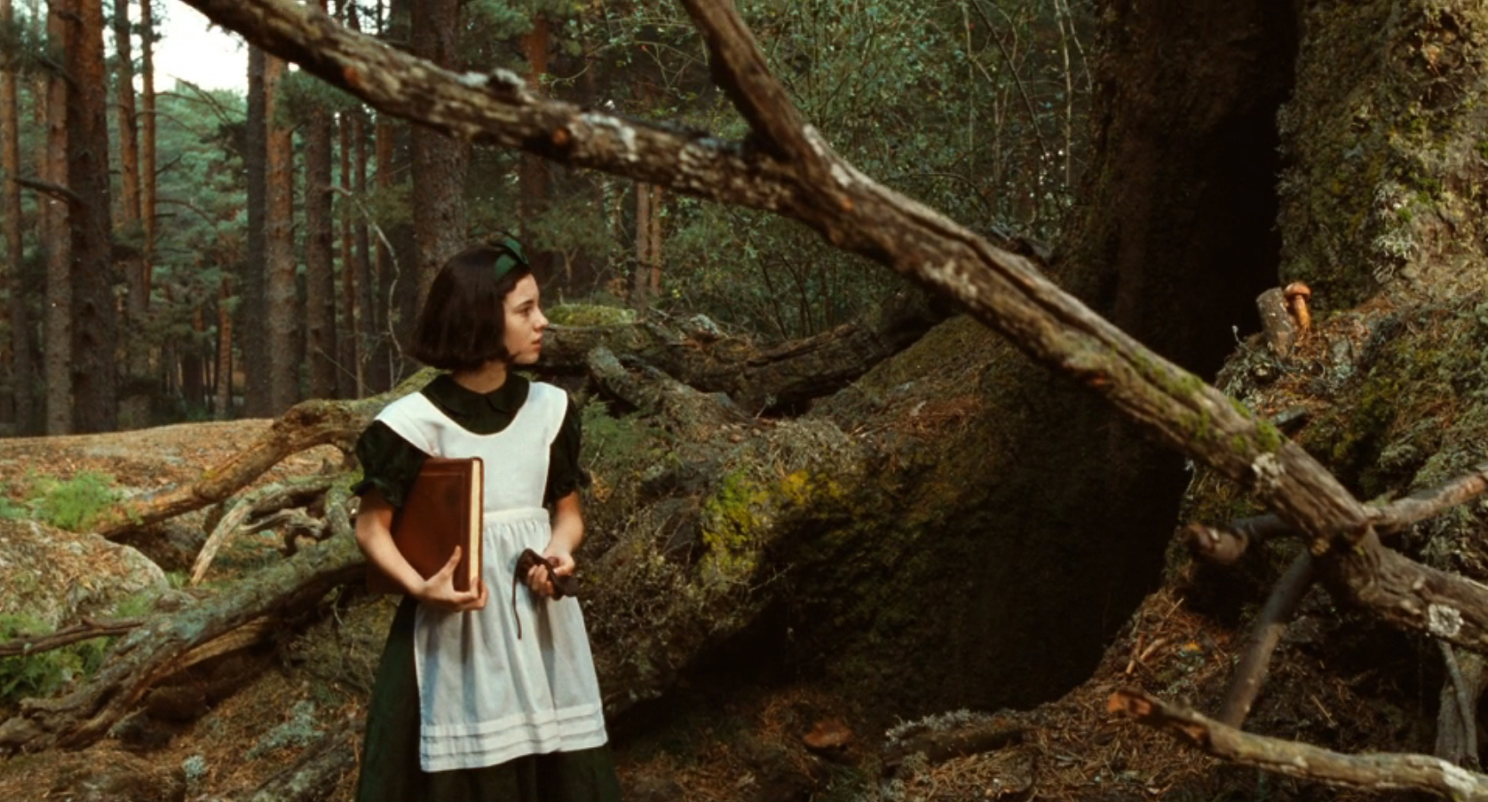 Pan's Labyrinth - THE CINEMATOGRAPH